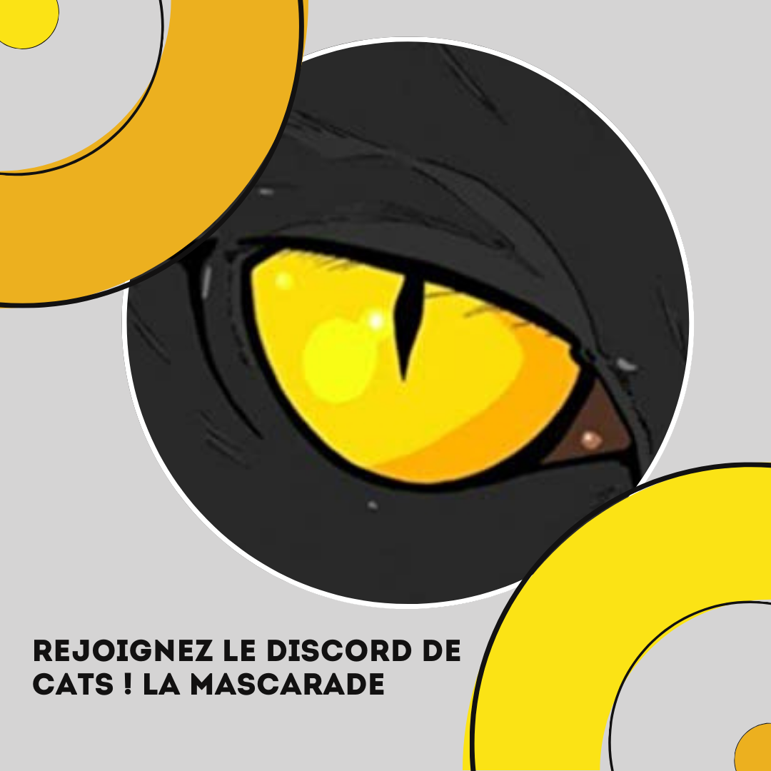 Cats ! La Mascarade a un Discord + Bonus - D1000 et D100